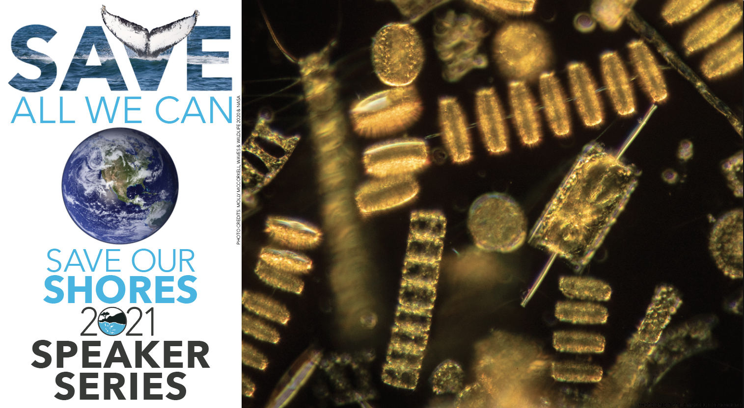 Plankton Make the World Go Round